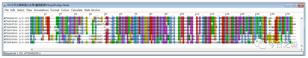 详解多序列比对软件Jalview的使用方法，美化-编辑-自定义设计 - 知乎