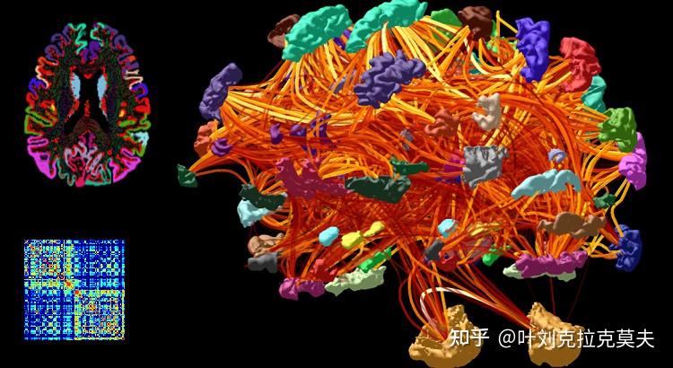 科学可视化软件介绍 – 医学图像处理和可视化开放软件框架MRtrix3 - 知乎