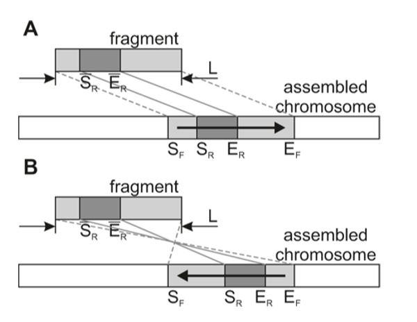 Chromosomer软件利用参考基因组序列链接contigs - 知乎
