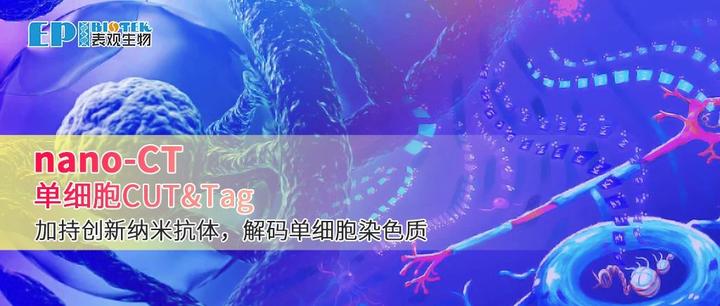 单细胞CUT&Tag（nano-CT）：创新纳米抗体加持，解码单细胞组蛋白修饰图谱 - 知乎