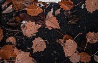 pytorch中参数dilation=N (N=1,2,3...)解释 - 知乎