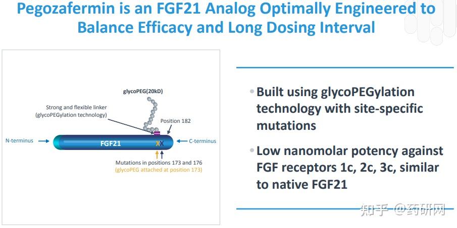 FGF21：NASH领域逆境前行现曙光 - 知乎