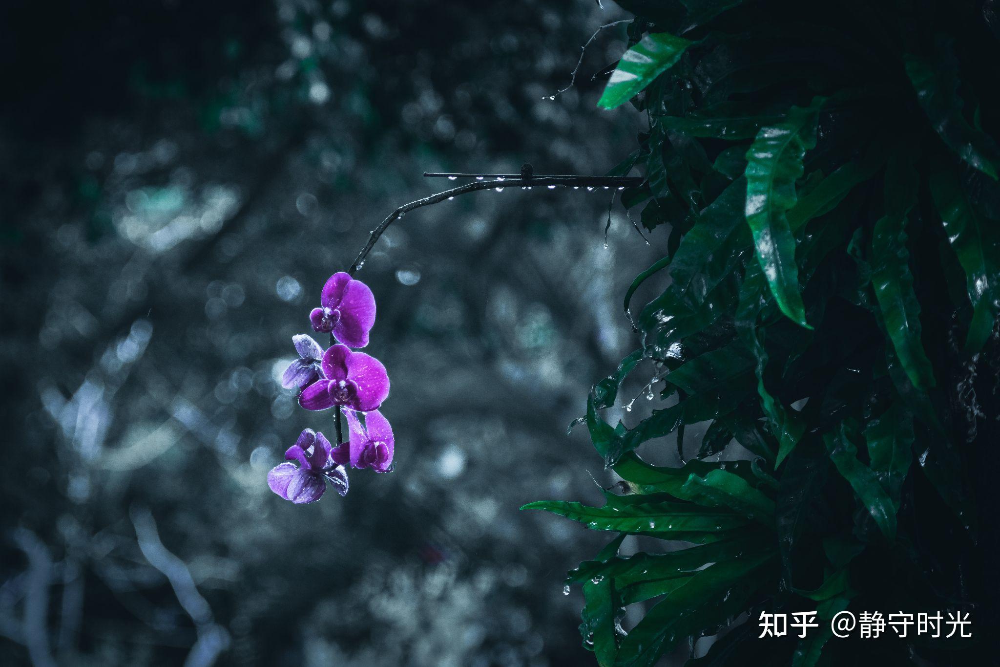 富士Xt5和索尼A7c2怎么选? - 知乎