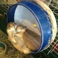 用GetDist分析马尔科夫链 - 知乎