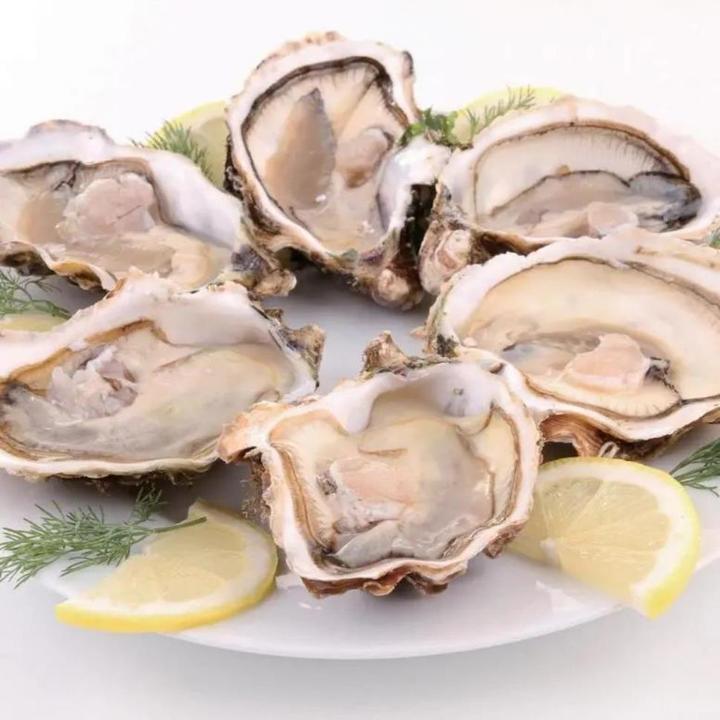 “生蠔之王”布列塔尼-贝隆生蠔 King of Oyster-Huître Belon de Bretagne（之二) - 知乎
