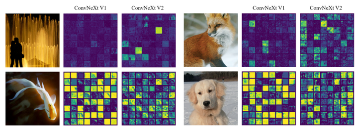 CNN（十二）ConvNeXtv2 - 知乎