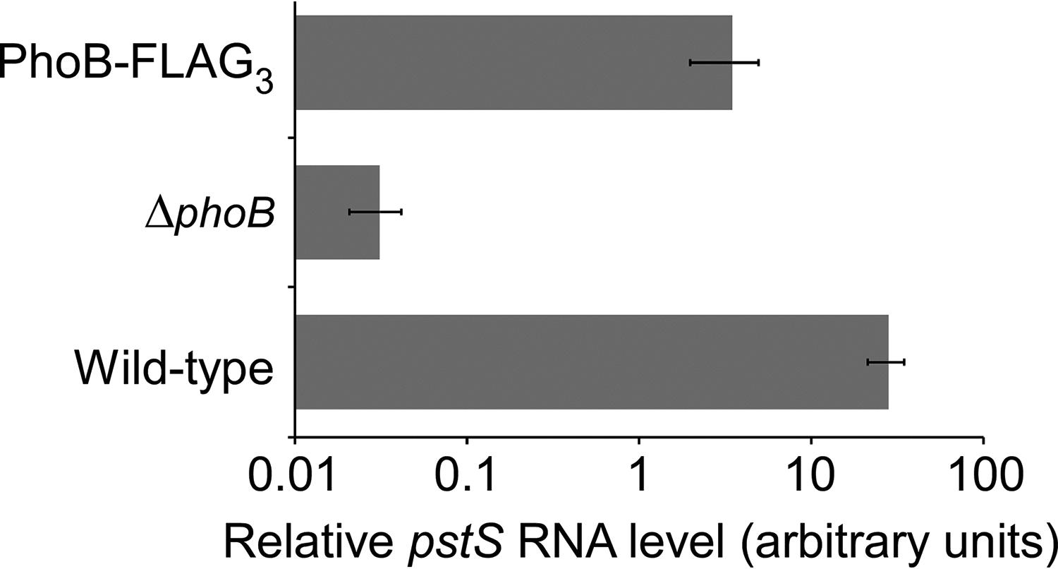 蛋白质DNA互作研究，选ChIP还是CUT&Tag? - 知乎