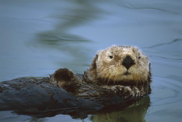 Calcite 处理一条SQL - II (Rels Into Planner) - 知乎