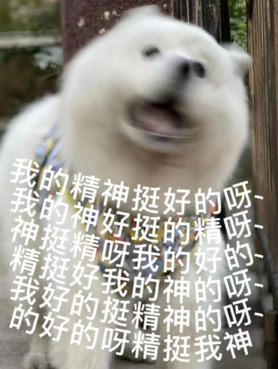 友友们，有没有发疯发癫的表情包? - 知乎