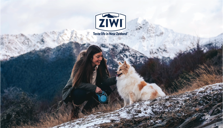 ZIWI大中华区总经理Jamie 3月1日入职，曾就职于雀巢、玛氏 - 知乎