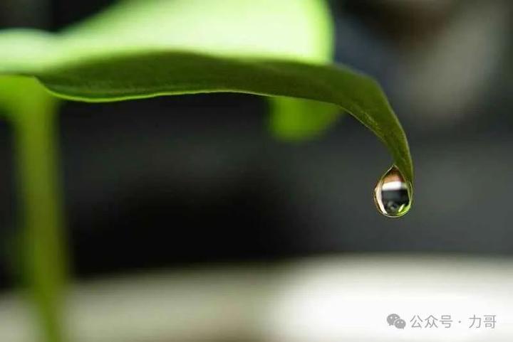 一款年收益4%的活期理财 - 知乎