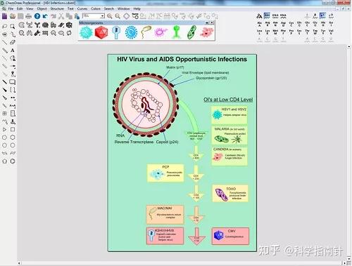 科研绘图必备之ChemDraw：你可能忽略的基本技巧 - 知乎