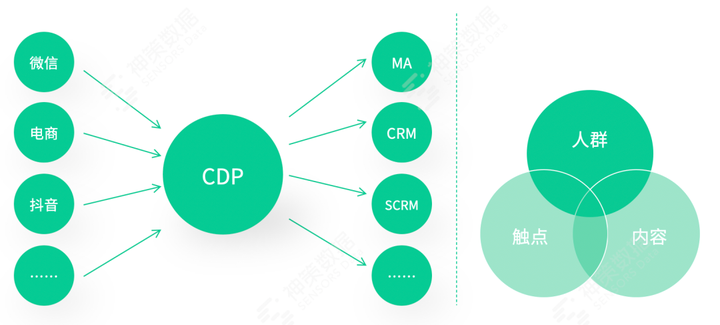 什么是cdp？ 知乎