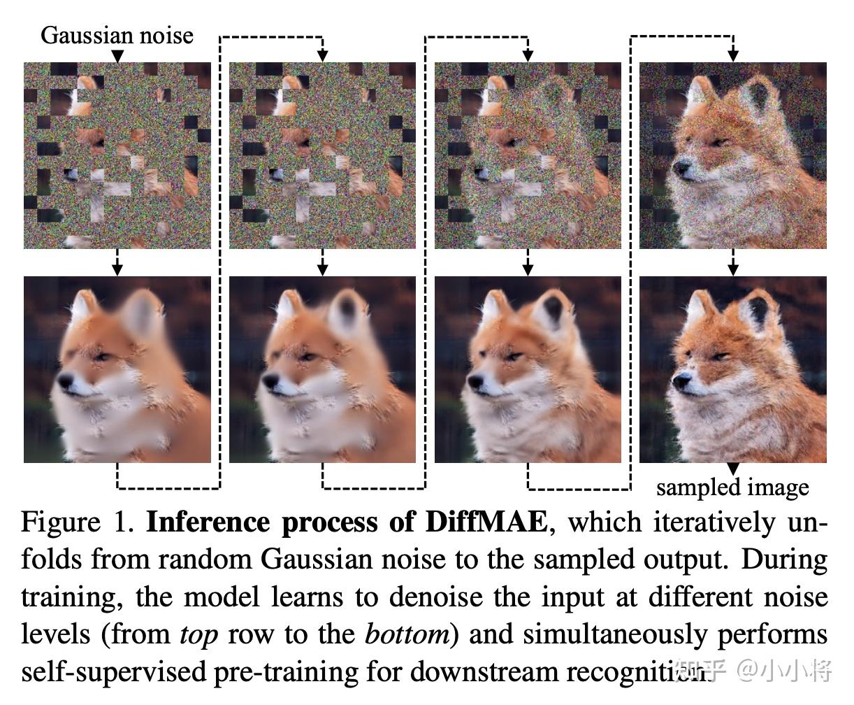 简读Diffusion Models as Masked Autoencoders - 知乎