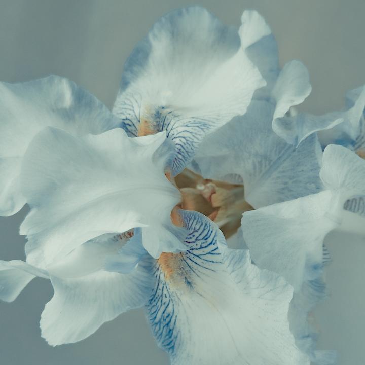 8个超高清图片素材网站，免费下载，真的很实用~ - 知乎