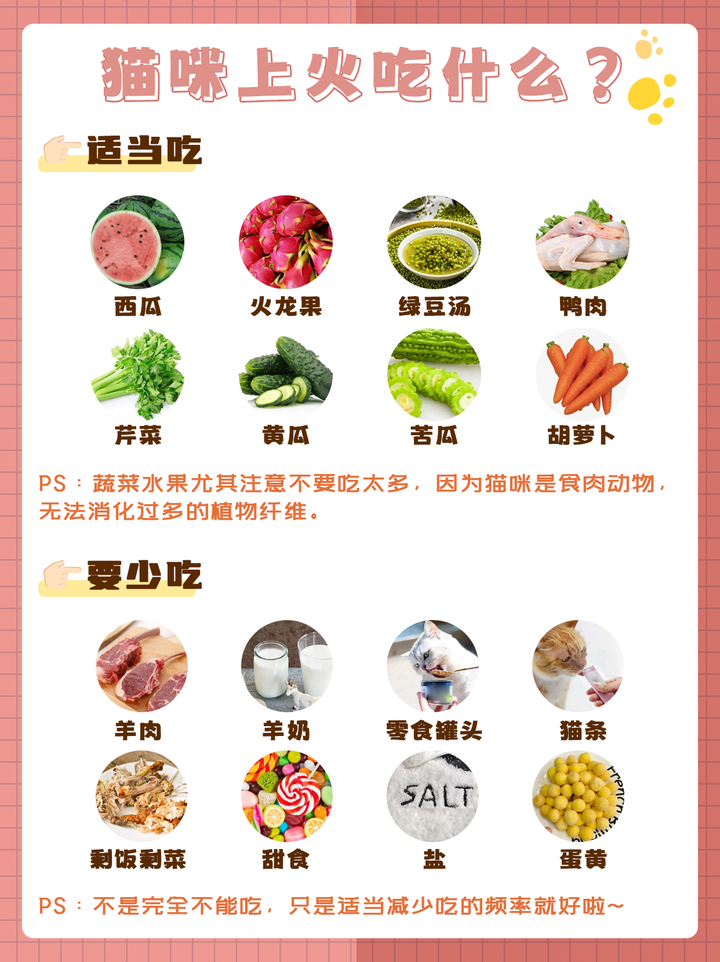 猫咪上火吃什么降火？猫咪上火的症状表现及处理方法 知乎
