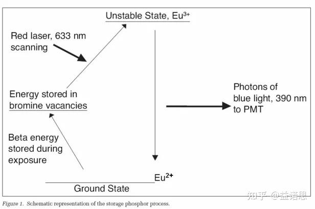 QWBA解决方案：助您快速得到可定量的精细的药物组织分布数据 - 知乎