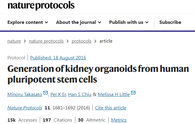 【Nature Protocol】系列：从hPSC中生成肾脏类器官方案（上） - 知乎