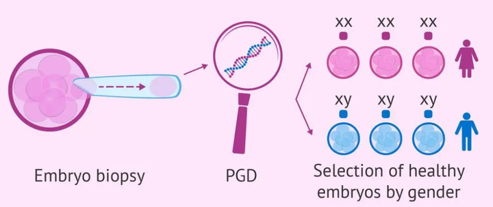 胚胎植入前遗传学检查（PGD/PGS）-辅助生殖系列之六 - 知乎