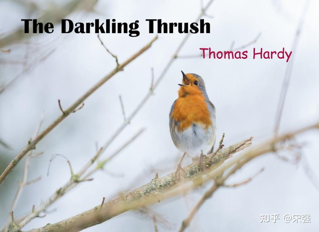 Thomas Hardy(托马斯·哈代)《The Darkling Thrush》《黑暗中的鸫鸟》解析 - 知乎