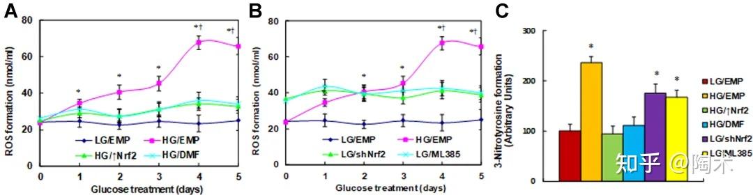 ML385——NRF2 抑制剂【TargetMol】 - 知乎