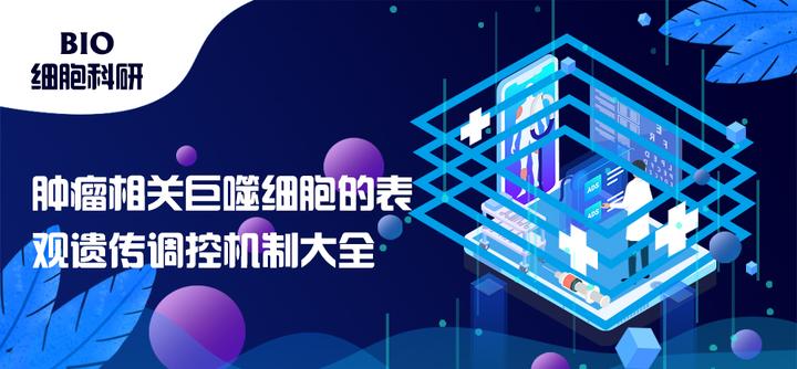 Semin Cell Dev Biol|Aamir Ahmad团队揭示microRNA表观遗传调控肿瘤相关巨噬细胞机制 - 知乎