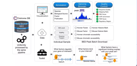 Decipher v9.26数据库使用方法 - 知乎