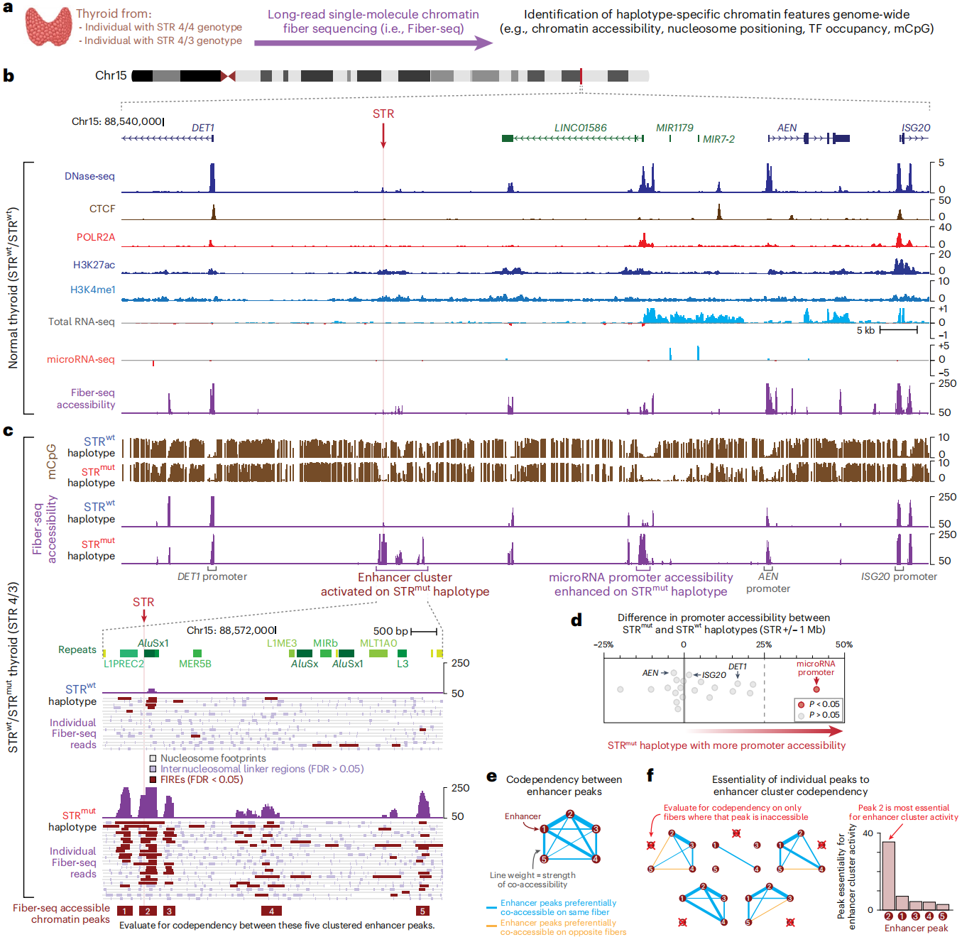 新品推介 | Fiber-seq：单分子分辨率下的染色质开放性与调控元件解析 - 知乎