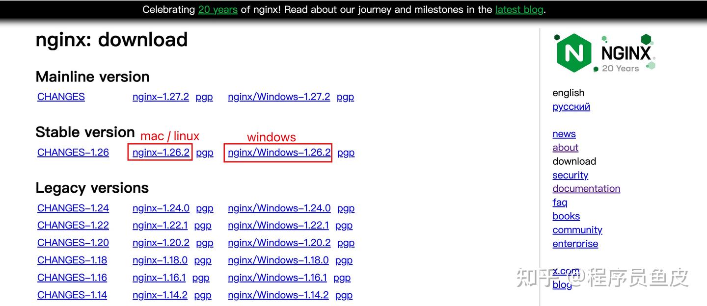 不敢相信，Nginx 还能这么玩？ - 知乎