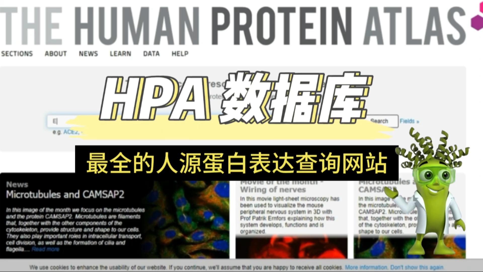 The Human Protein Atlas使用指南 - 知乎