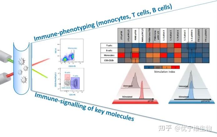 流式实验干货 | 磷酸化蛋白phospho的高通量检测+一些实验操作外挂 - 知乎