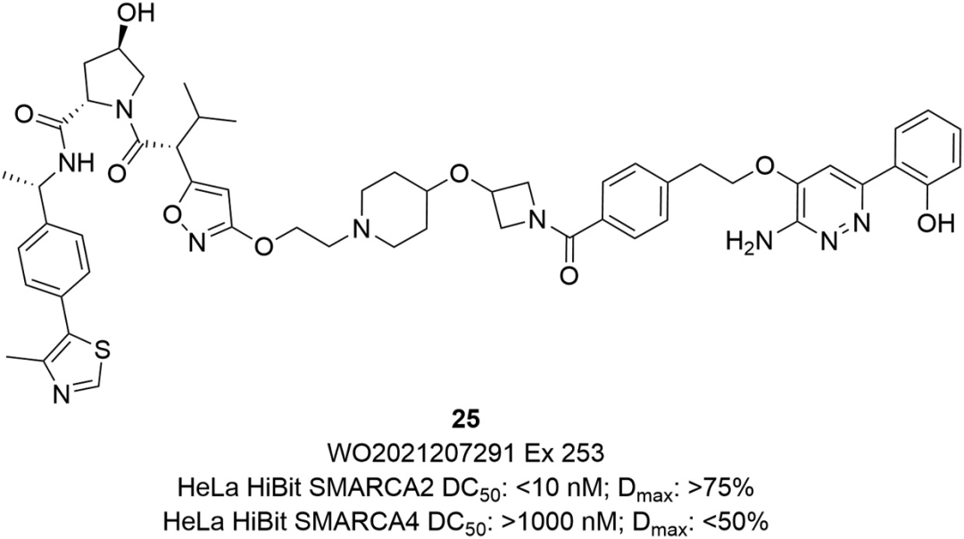 合成致死靶点SMARCA2: PROTAC蛋白降解剂 (专利综述) - 知乎