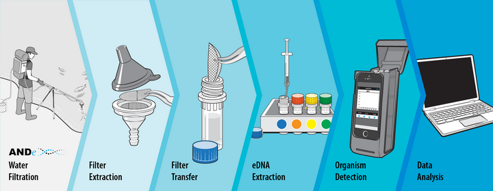 水环境eDNA便携采集系统-生物调查物种入侵调查 - 知乎