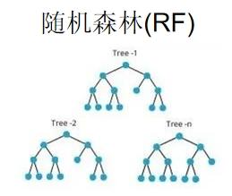 【回归预测】RF随机森林-MATLAB - 知乎
