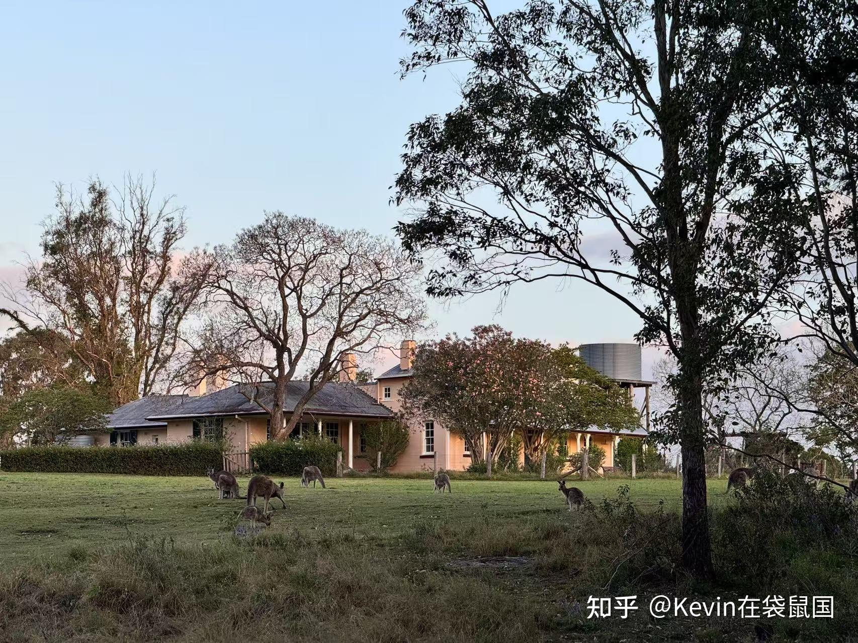 生活在澳大利亚的悉尼，是一种什么的体验？ - 知乎