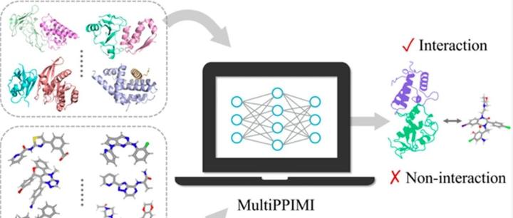 MultiPPIMI: 多模态深度学习框架预测 PPI 相互作用调节剂 - 知乎