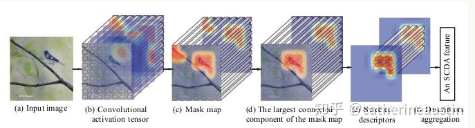 细粒度分类SCDA&Recurrent Attention Convolutional Neural Networ - 知乎