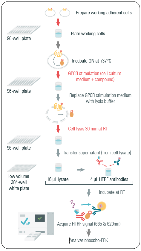 纯干货！瑞孚迪HTRF磷酸化检测注意事项_化工仪器网