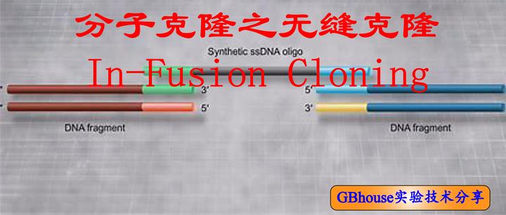手把手教你做--分子克隆之无缝克隆-In-Fusion Cloning - 知乎