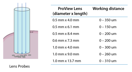 在体钙成像技术 - 知乎