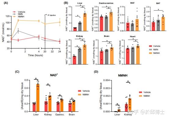 更快，更高，更强——NAD+界卷王来了！谈谈NRH和NMNH - 知乎