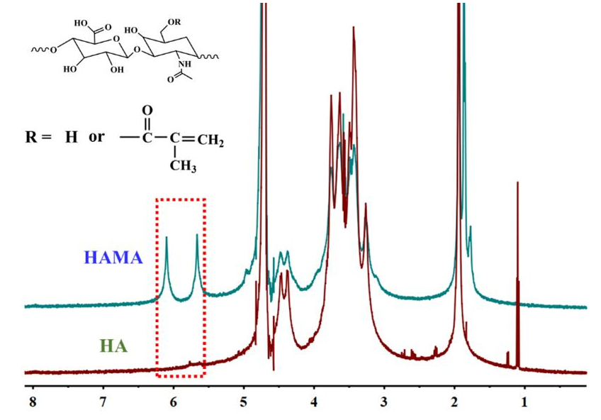 甲基丙烯酰化透明质酸（HAMA） 光固化水凝胶研究 - 知乎