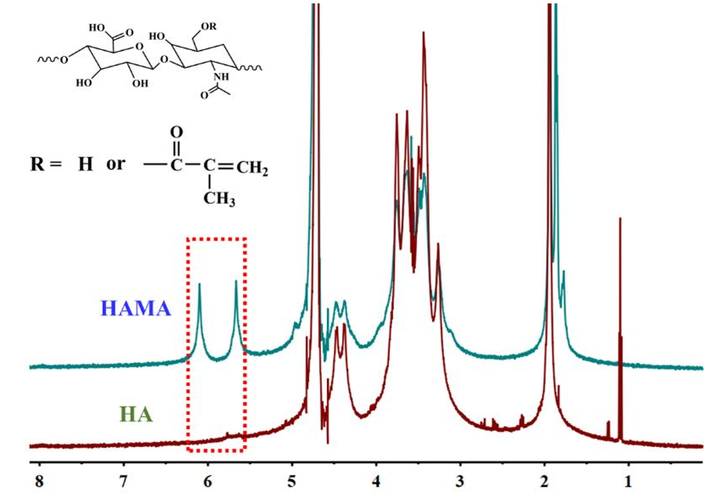甲基丙烯酰化明胶Gelma/透明质酸HAMA 光固化水凝胶的性能 - 知乎