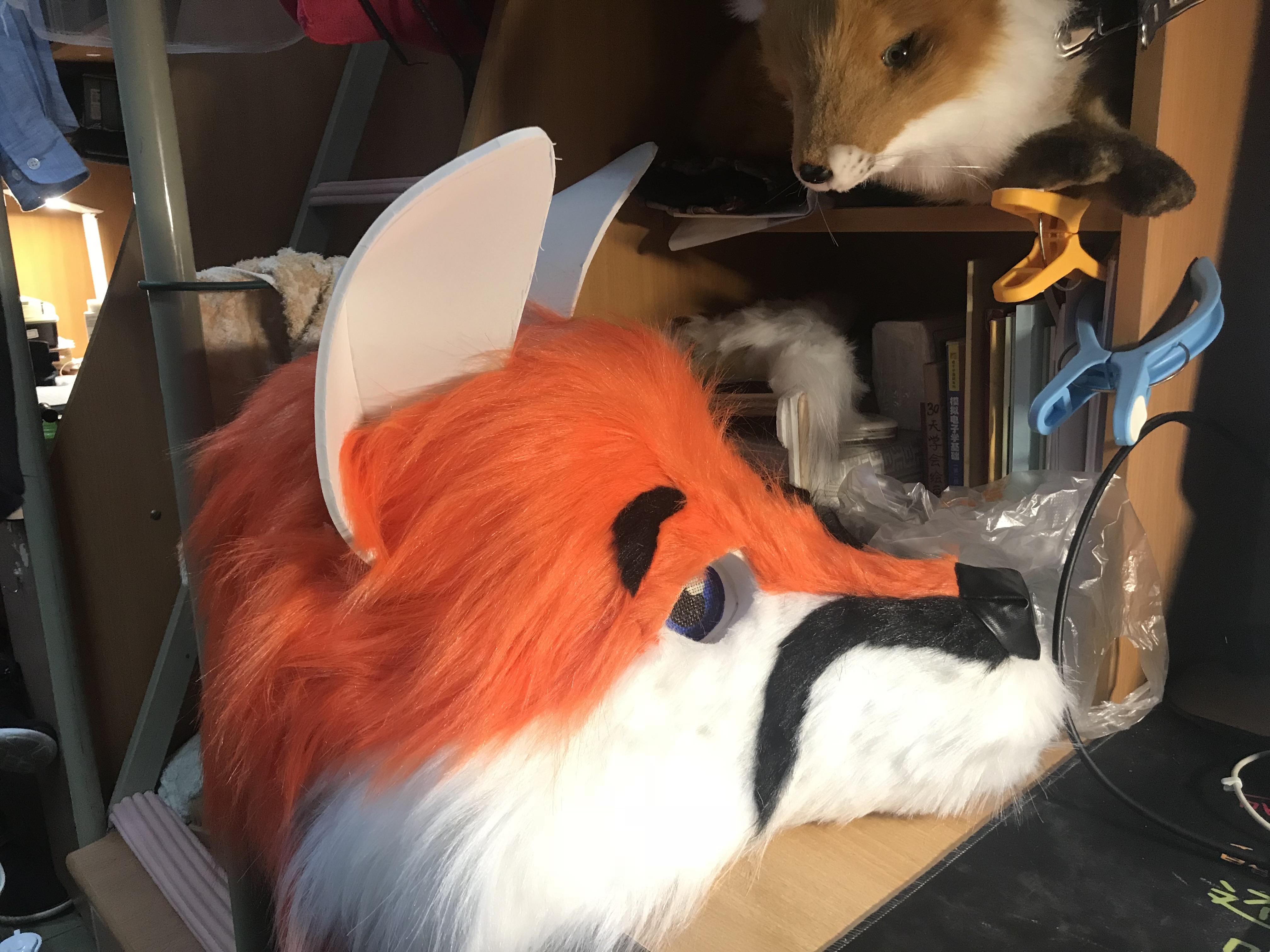 "furry"与"kemono"是一样的吗?如果不是，有哪些区别? - 知乎