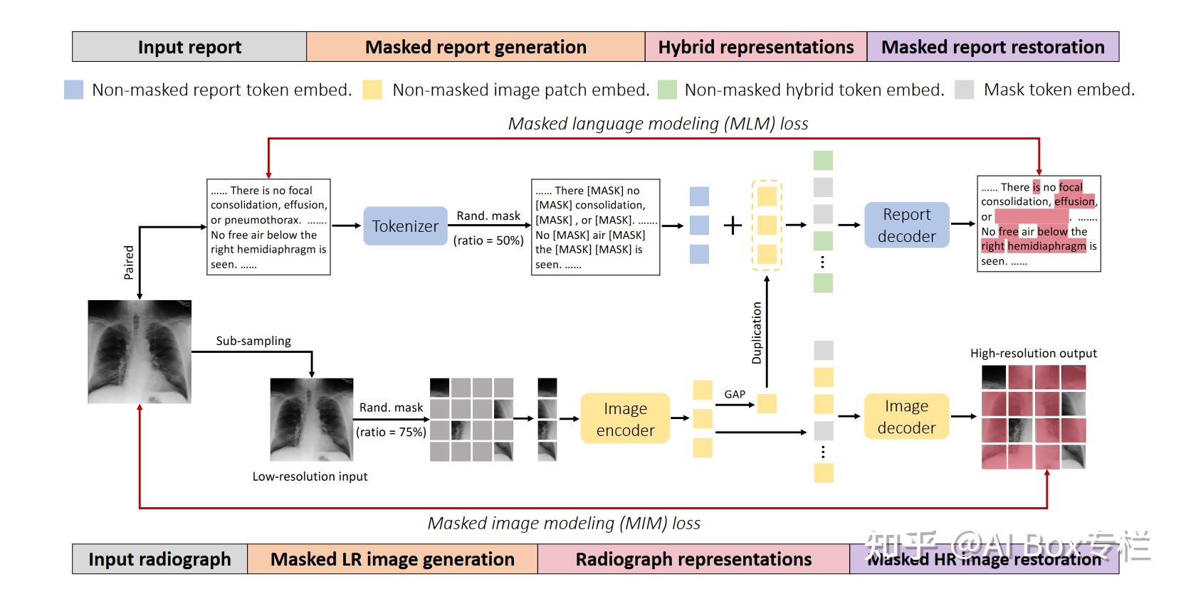 医学多模态的最新进展 - 知乎