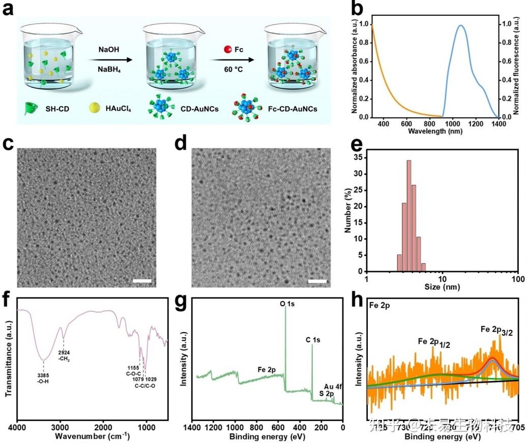 福州大学林立森团队Angew. Chem. Int. Ed. - 知乎