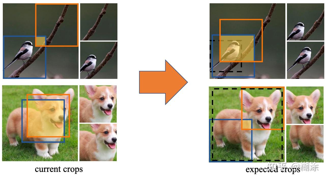 Crafting Better Contrastive Views for Siamese Representation Learning - 知乎