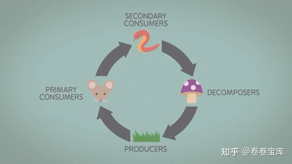 TED-ed《Awesome Nature 了不起的自然》科普动画128集，知识硬核一看入迷 - 知乎