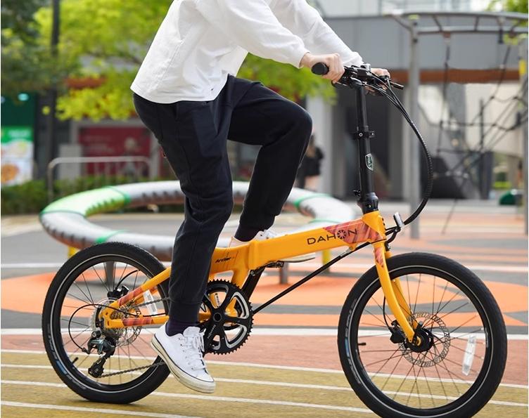 DAHON ARCHER PRO「S20」，速度与稳定并重，给你非凡驾驭之旅！