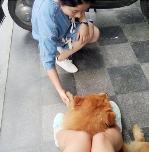 20230327（1）搞笑动物图片 - 知乎